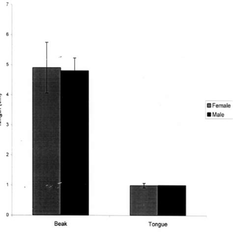 Ariation Of Mean Values ± Standard Deviation Of Beak And Tongue Lengths