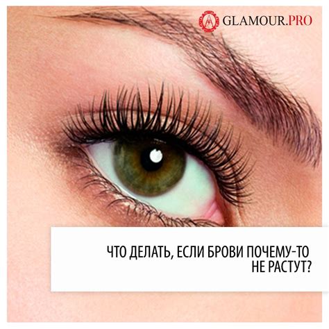 Что делать, если брови почему-то не растут? Поговорим для начала о ...