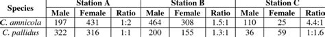 Abundance By Numbers And Sex Ratio Of C Amnicola And C Pallidus Download Table