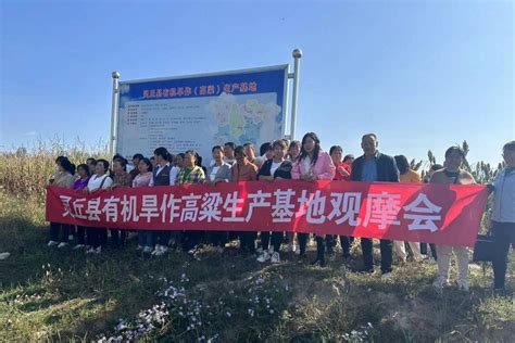 灵丘县现代农业发展中心举办有机旱作高粱生产基地观摩会 技术 种植 相关