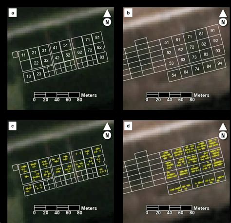 View Of The Field And Plot Locations For Both Years All Images Show