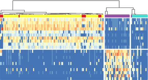 single cell consensus clustering sc3 tool is more accurate and robust