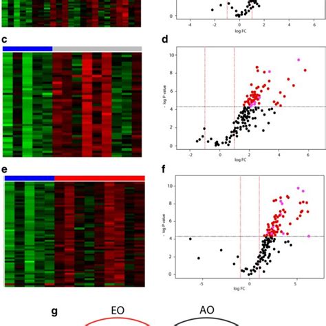 Altered Profile Of Plasma Mirnas In Sca7 Patients The Taqman Profiling Download Scientific