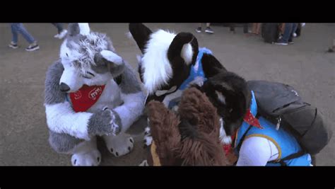 Fursuit S — Source