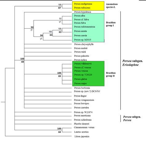Bootstrap Consensus Tree Of The Trng Trns Maximum Parsimony Analysis