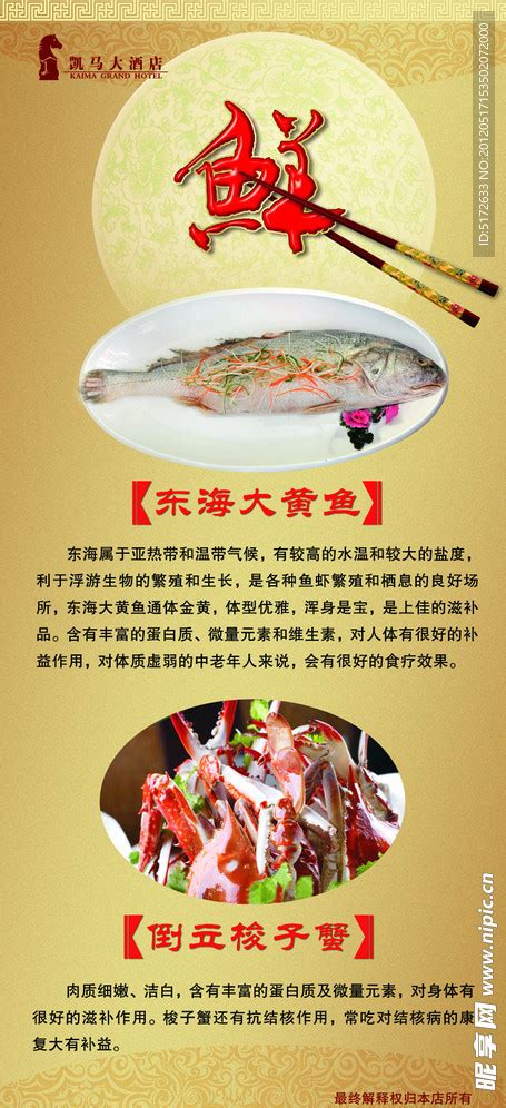 大黄鱼展架设计图 展板模板 广告设计 设计图库 昵图网