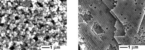 Scanning Electron Micrographs Of Uncoated And Surface Modified