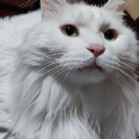 为什么编译时会报错 Error no matching function for call to base base CSDN社区