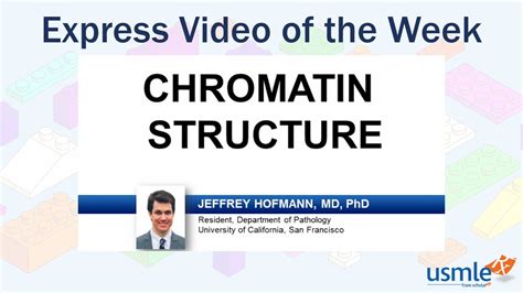 Chromatin Structure Youtube