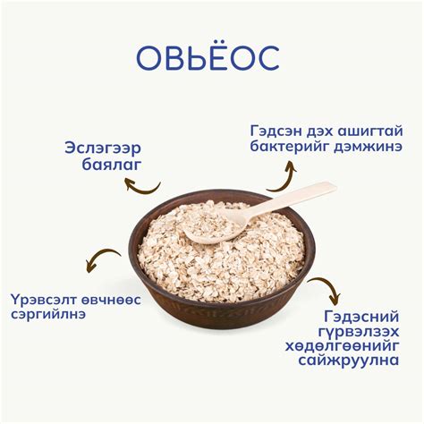 🥗Цусан дахь ӨӨХ ТОС ыг бууруулах Рехамед Гялс Эмнэлэг