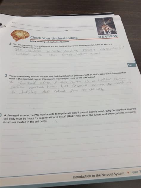 Solved Procedure 1 Model Inventory For Parts Of The Synapse