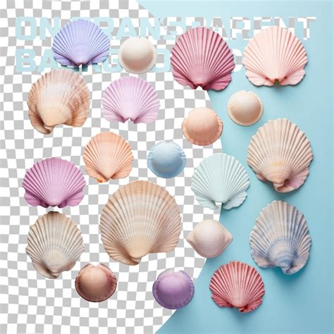 Shell Colors Psd High Quality Free Psd Templates For Download Freepik Shell Colors Psd High Quality Free Psd Templates For Download Freepik