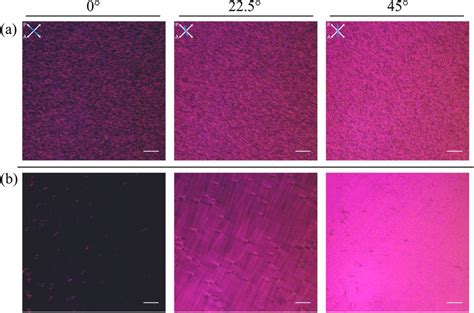 Polarizing Optical Microscope Images At Three Different Device Download Scientific Diagram