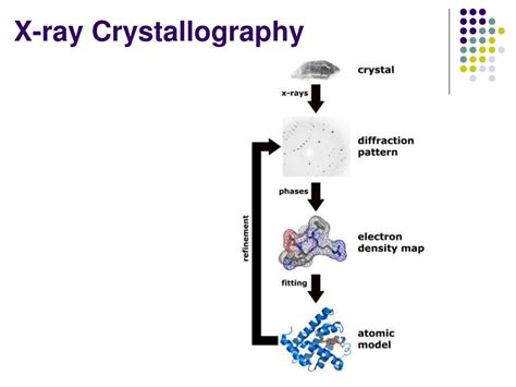 Ppt Cot 6930 Hpc And Bioinformatics Introduction To Molecular Biology Powerpoint Presentation