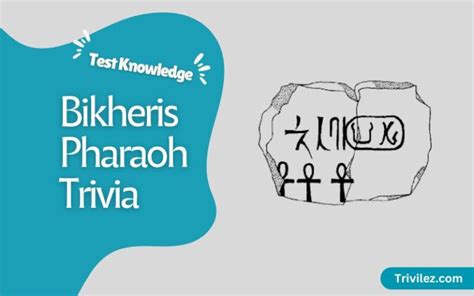 36 Cheesecake Trivia Questions And Answers Trivilez