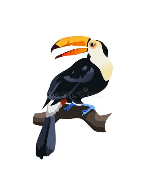 Polynesian Bird Stock Illustrations 777 Polynesian Bird Stock