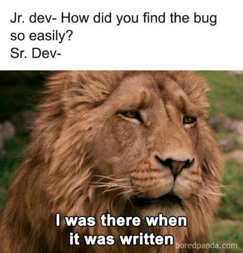20 Witty Programmer Humor For All The Programmers Out There DeMilked