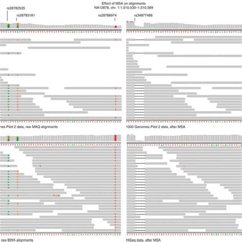 Pdf A Framework For Variation Discovery And Genotyping Using Next Generation Dna Sequencing Data