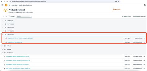 How To Install Neptune Software Dxp 2023 Lts