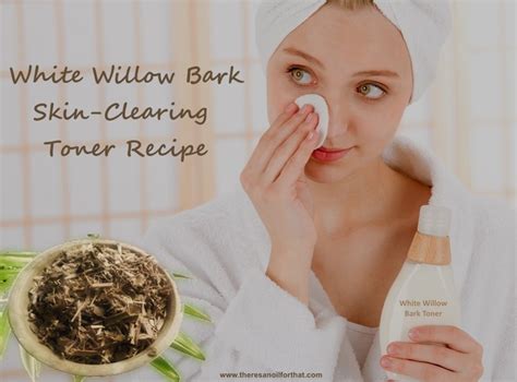 Acne Toner Recipe White Willow Bark Vitruvian Natural Health