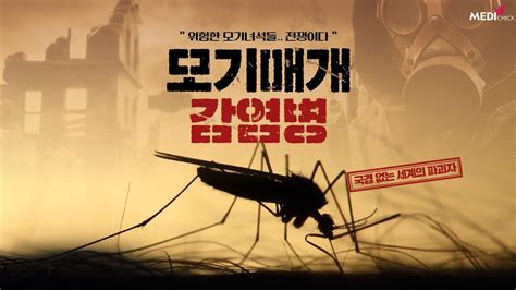 모기매개감염병 모기 말라리아 Youtube