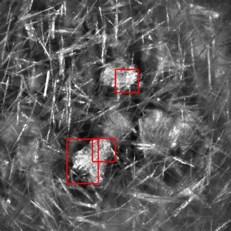 Crystallization Impurity Detection Kaggle
