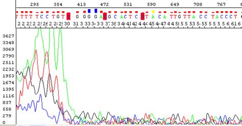 Failed Sequencing Reaction Troubleshooting Genetic Analysis Services