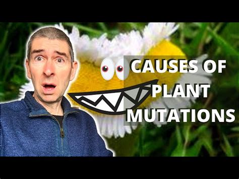 Genetic Mutations In Plants Genetic Mutations In Plants