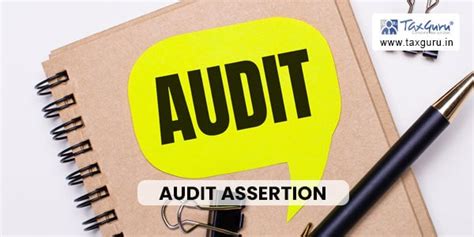 Audit Assertion