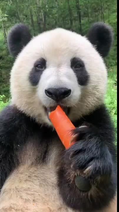 Video Prashant Srivastava On Linkedin Its Common For Individuals To Misinterpret Challenges