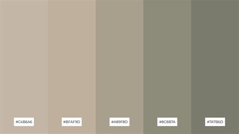 The Best 15 Muted Color Palette Combinations