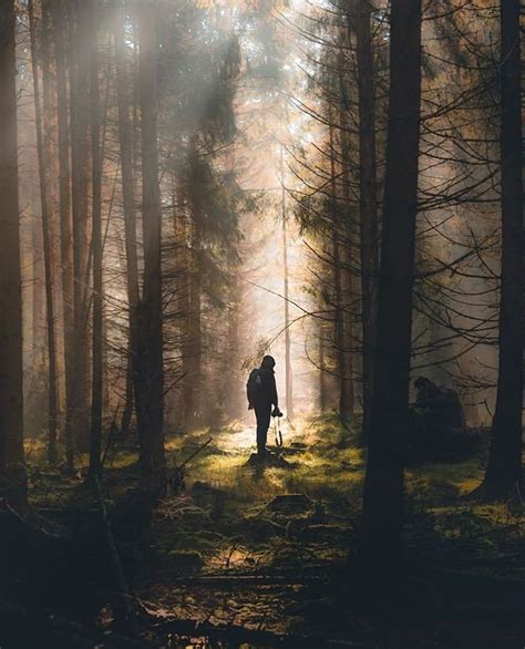 Pin by That Boy_kam on View wallpaper | Forest photography, Scenery ...