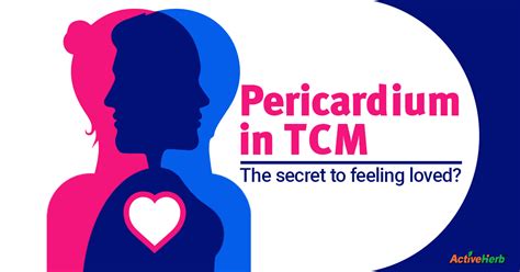 Pericardium In Tcm The Secret To Great Sex Activeherb Blog