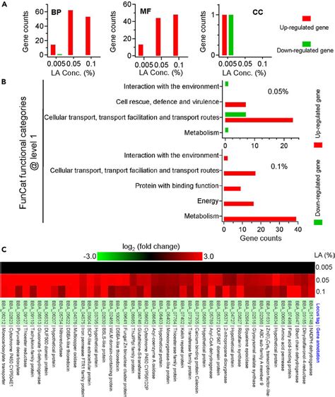 Enrichment Analyses For Differentially Expressed Genes Degs Three Download Scientific Diagram