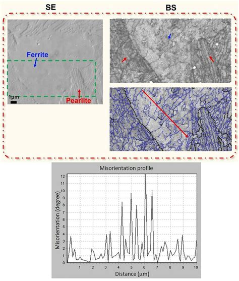Se And Bs Maps Showing The Microstructure Within The Gauge Length Download Scientific Diagram