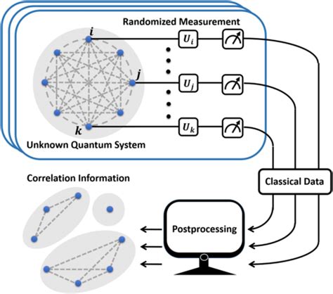 Characterizing Correlation Within Multipartite Quantum Systems Via Local Randomized Measurements