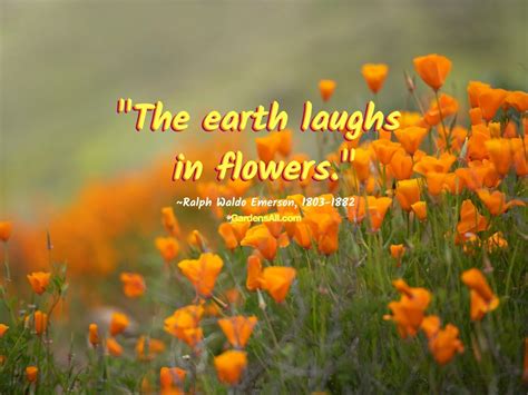 Beautiful Flower Quotes For Inspiration And Reflection On Natures