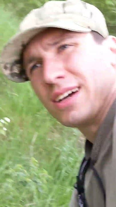 სრული ვიდეო არხზე ლაშქრობა ბუნება საქართველო ტყე სათავგადასავლო მხიარული Foryou