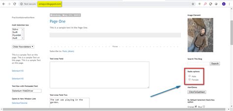 Webdriverio Handling Radio Button Qafox