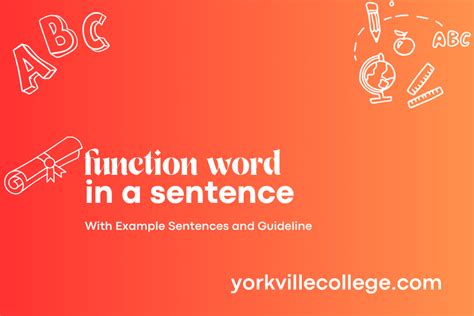How To Use Function Word In A Sentence Easy Examples