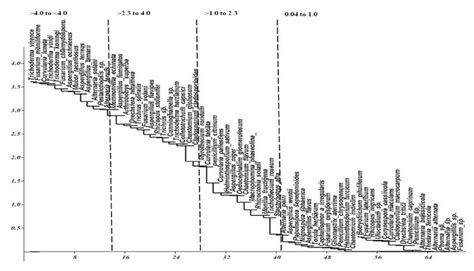 Neighbor Joining Clustering Euclidean Similarity With Functional