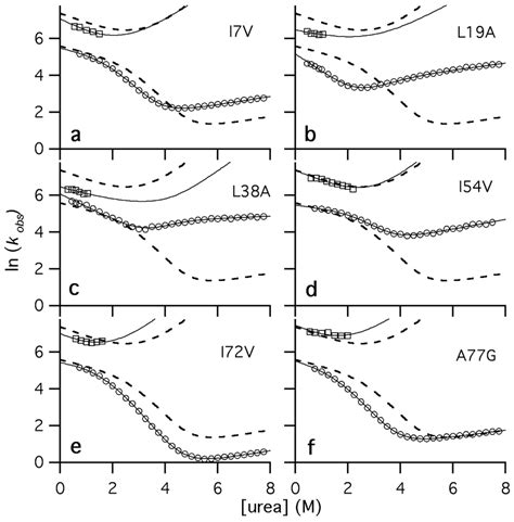 Dependence Of The Natural Logarithm Of The Observed Rate Constants On