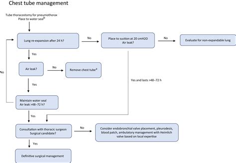 Management Of Pneumothorax Clinics In Chest Medicine