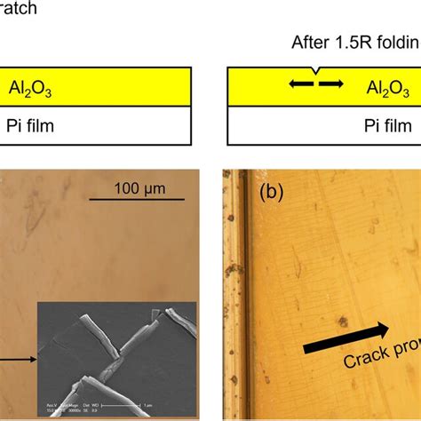 A Creation Of Cracks By Intentional Scratching On The Surface Of Download Scientific Diagram