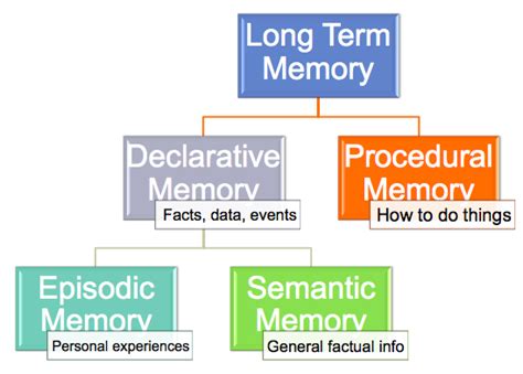 Semantic And Episodic Memory Mindauthor