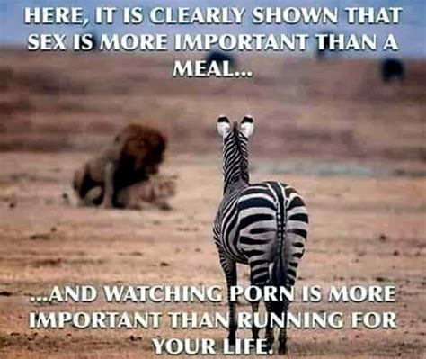01 23 Politically Incorrect Daily Politically Incorrect Humor
