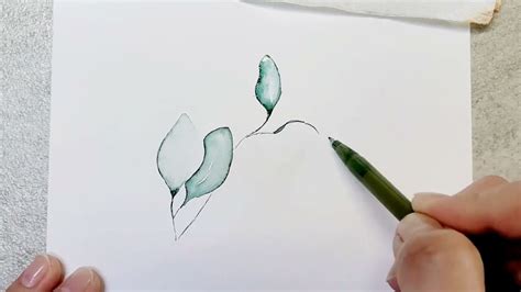 달숲공방 캘리수성펜수채화 한가지색으로 식물그리기 식물그리기쉬운그림 프러스펜 수채캘리 캘리그라피 캘리영상 캘리