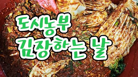 도시농부 둘째 언니 주말농장 수확물로 김장했어요~😍🤩 수육 맛 짱이네요 도시농부 건강밥상 수육만들기 김장배추 김장 텃밭 주말농장 건강먹거리 Youtube