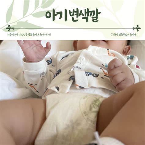 아기 변색깔 녹변 혈변 흰색변 검은색변 신생아 노란변 거품변 네이버 블로그